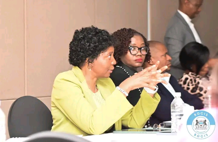 Ngamiland Iron Ore Project Opens New Avenues for Investment and Growth